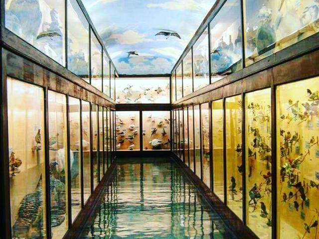 You Don’t Want to Miss These Events & Exhibitions at Baton Rouge Museums