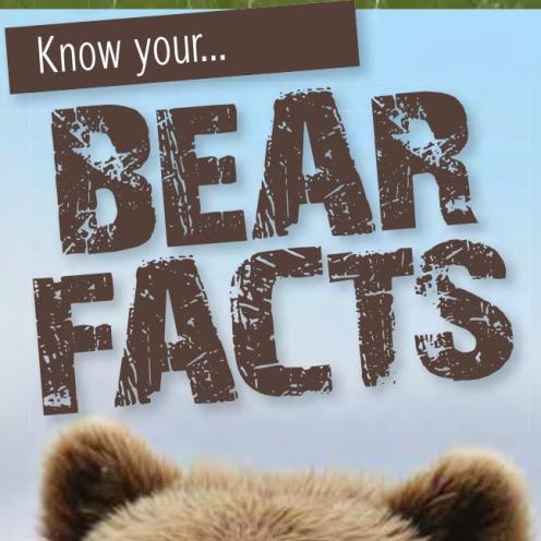 cute bear facts
