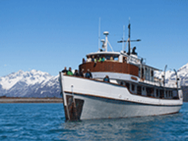 Sea Wolf Adventures