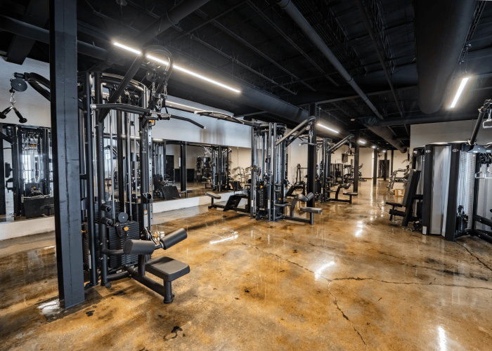 Gold's Gym Tampa Gas Worx