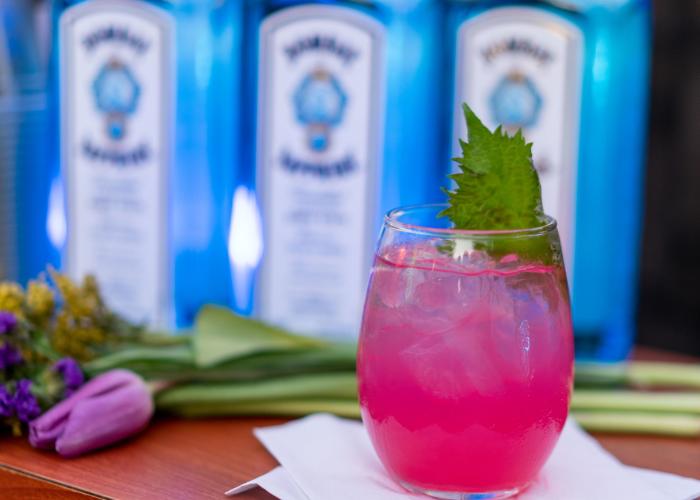 The Rooted Door Organization Inc