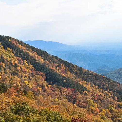 Driving Tours in Lake Lure & The Blue Ridge Foothills