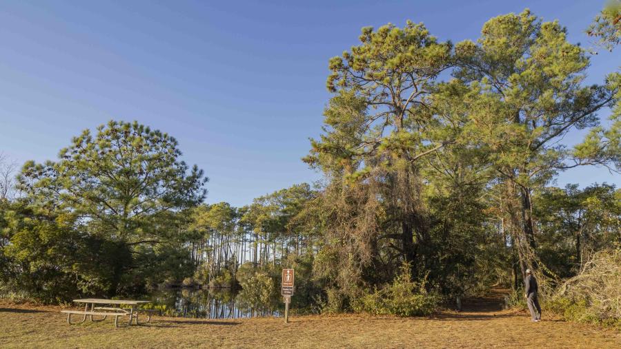 Hiking in Outer Banks, NC | Hiking Trails, Parking & Maps