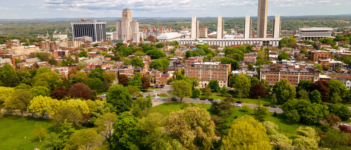 2025: A Look at the Year Ahead in Albany County, New York