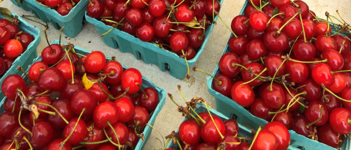 6 Farmer's Markets to Shop this Summer in Albany, NY