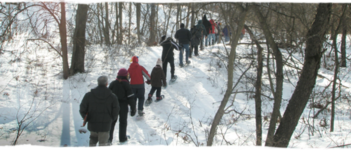 Family Friendly Fun: 8 Winter Activities for Kids in Albany County