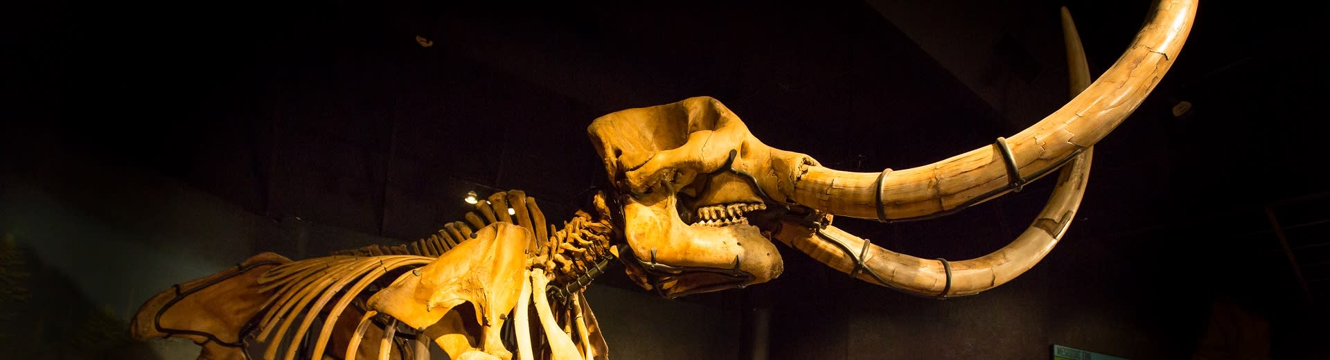 State Museum of Pennsylvania