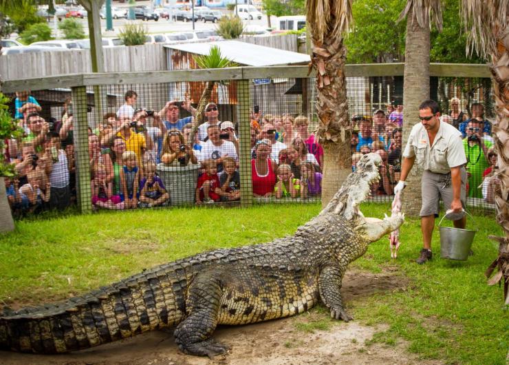 Alligator Park Myrtle Beach Alligator Adventure Coupon, Myrtle Beach
