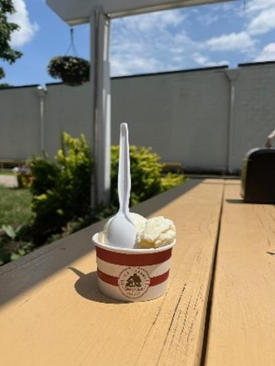 Rockford Area Ice Cream Tour