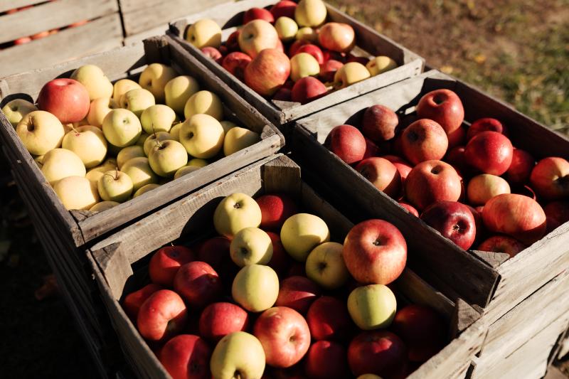 North Liberty, Lakeville & Walkerton