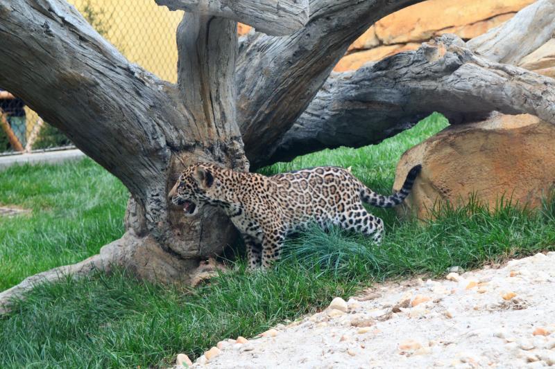Elmwood Park Zoo Exhibits & Shows | Visit Valley Forge & Montco