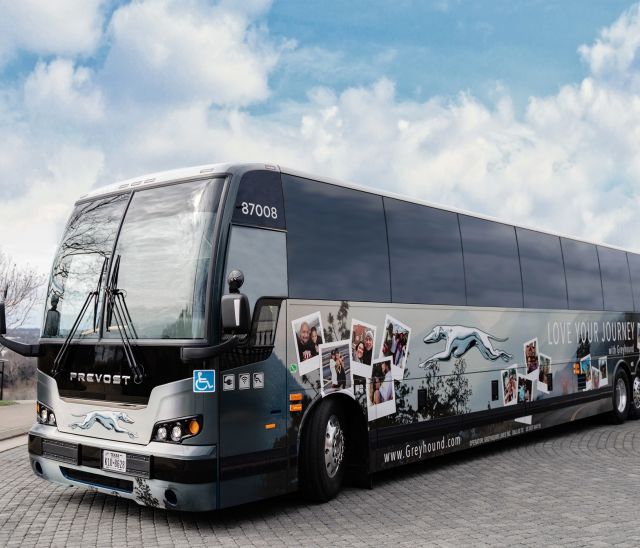 greyhound bus tracker