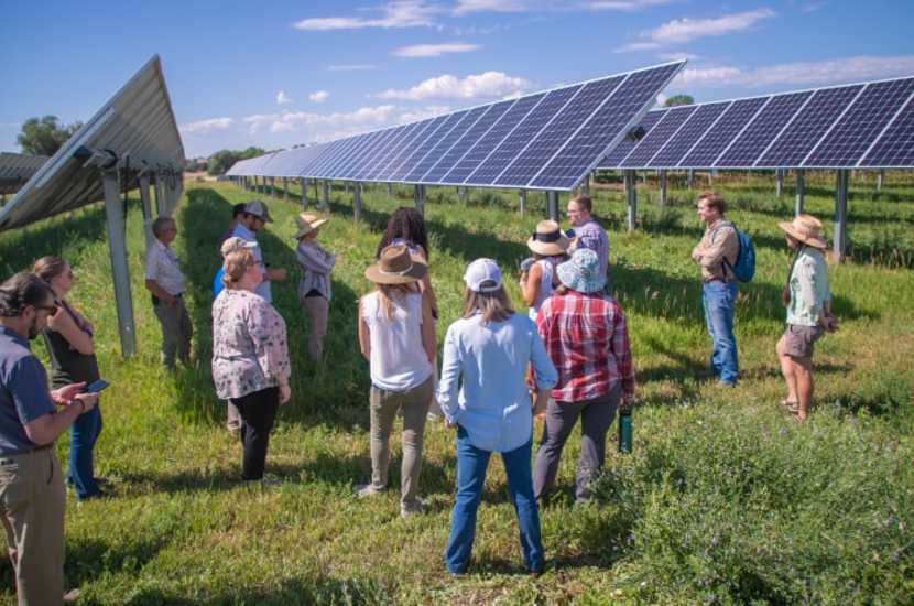 Jack’s Solar Garden