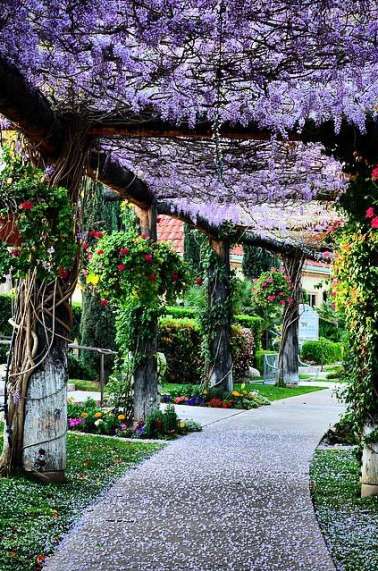 Temecula Valley, CA Visitors Guide To Hotels, Wineries, & Things To Do