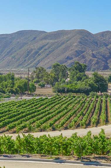 Temecula Valley, CA Visitors Guide To Hotels, Wineries, & Things To Do