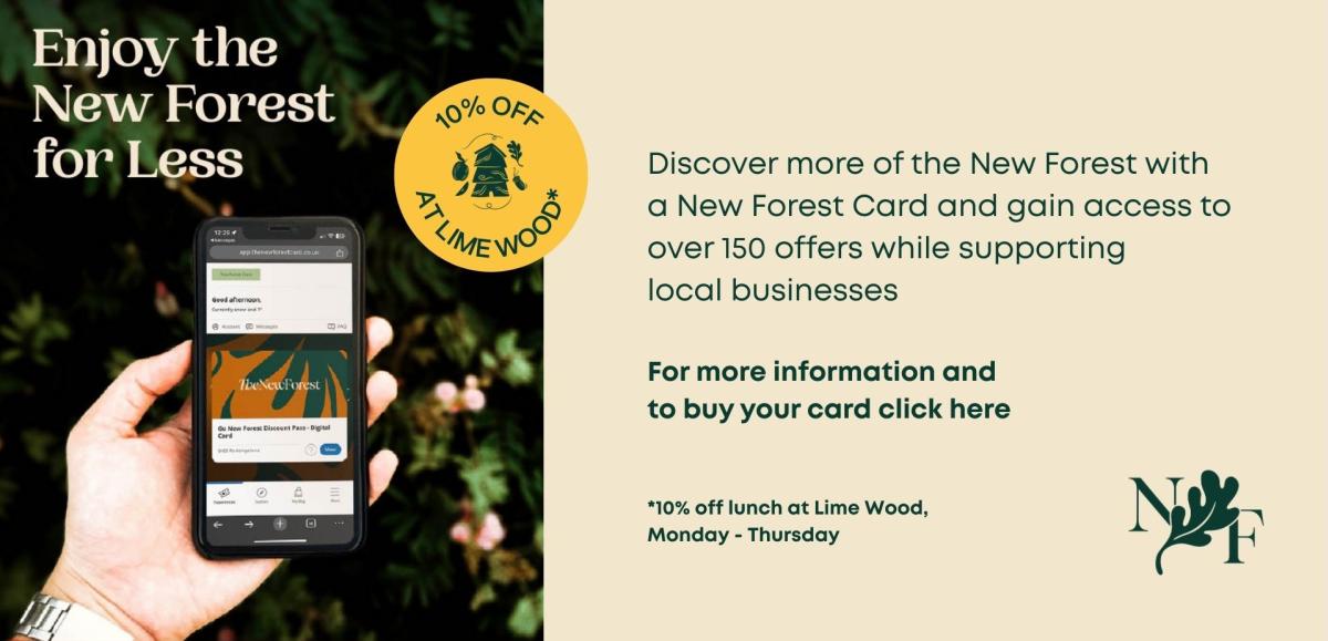 Things to Do in the New Forest | Activities & Attractions