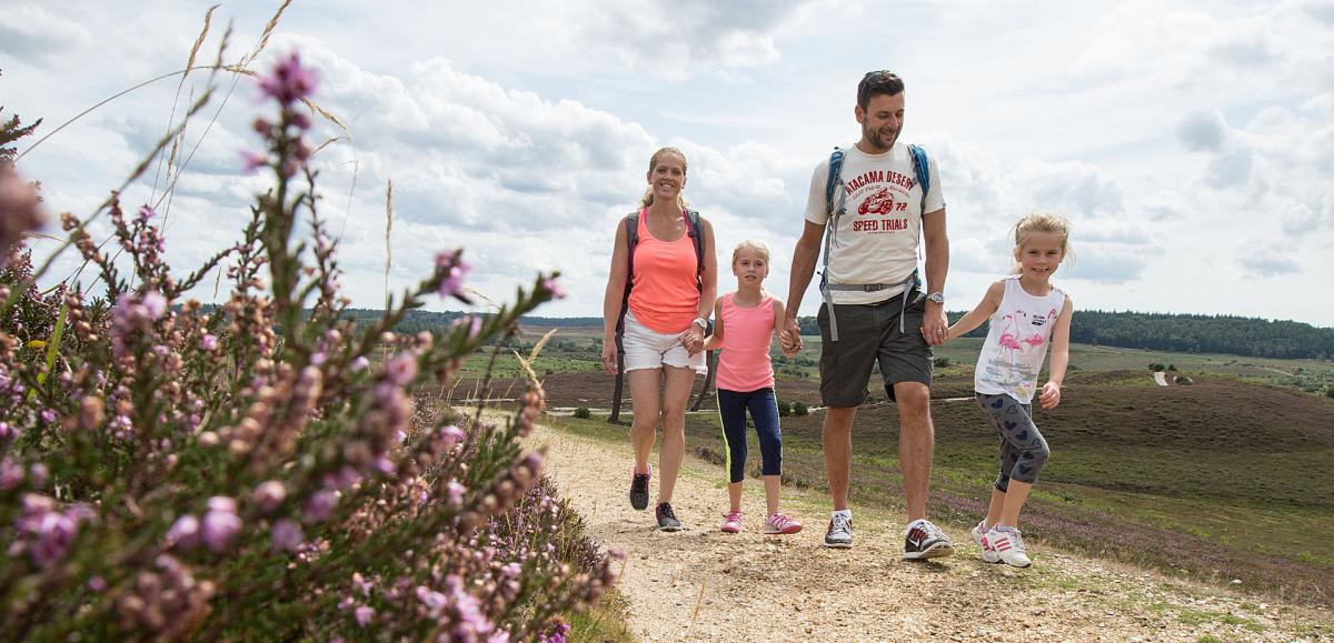 Top things to do this June in the New Forest