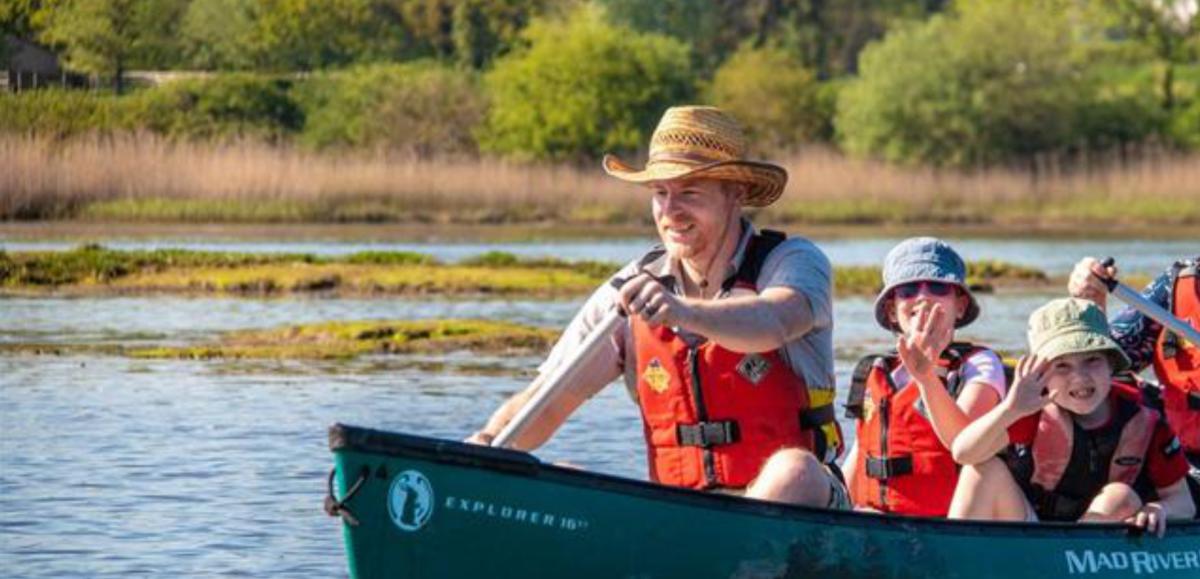 Top things to do this June in the New Forest