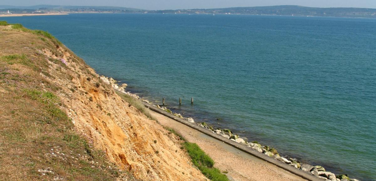 Top beach days in the New Forest