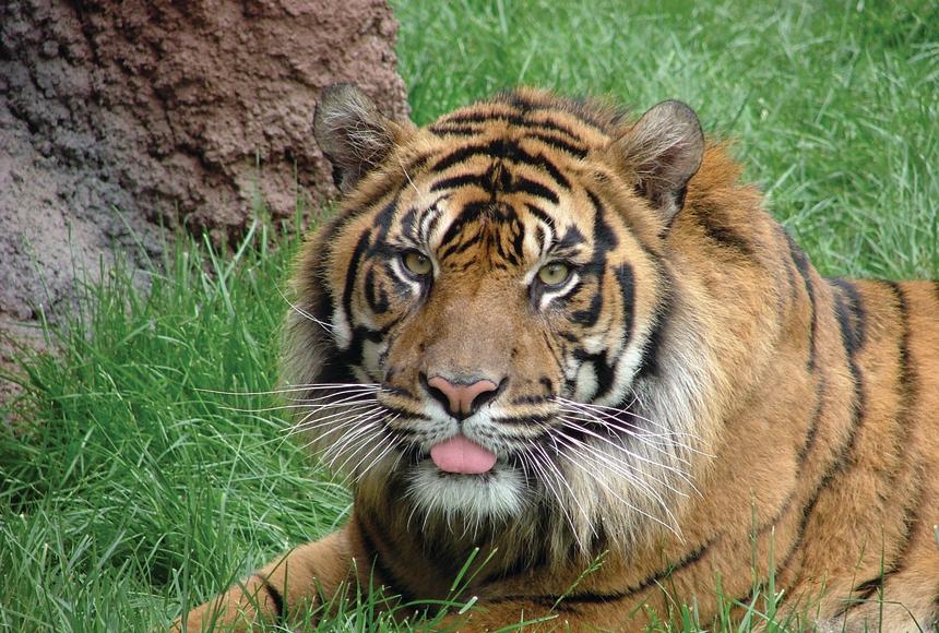 Topeka Kansas Attractions | TopCity locations to see when visiting