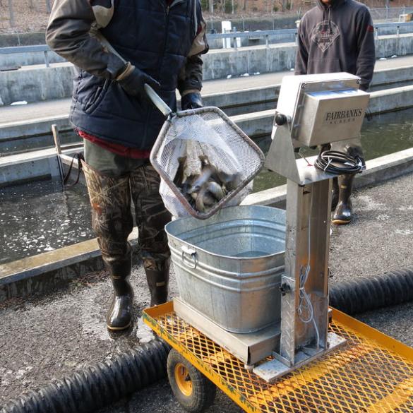 crooked line farm and orchard