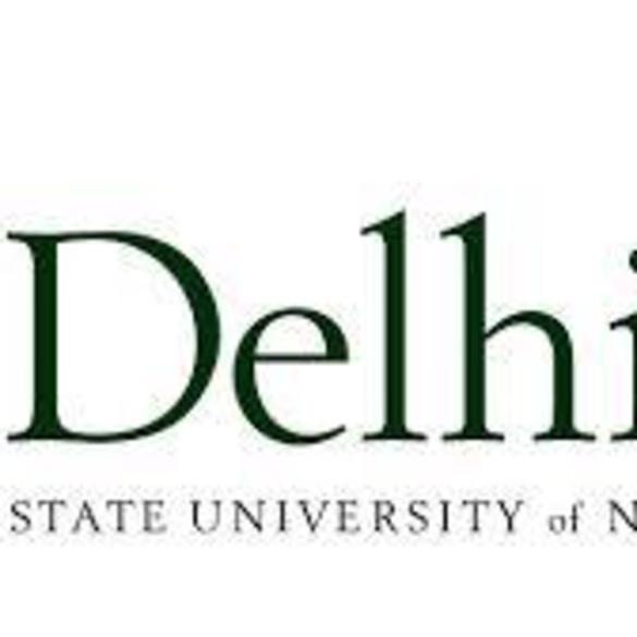 Suny Delhi Logo