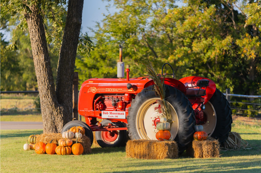 Celebrate the Season: Fall in Stillwater