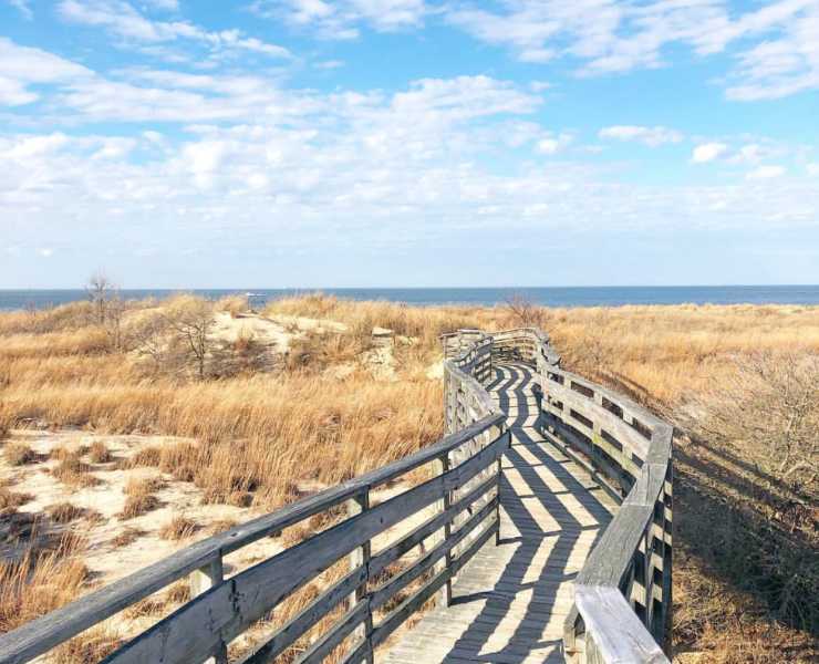 Virginia Beach First Landing State Park 18 First Landing State Park