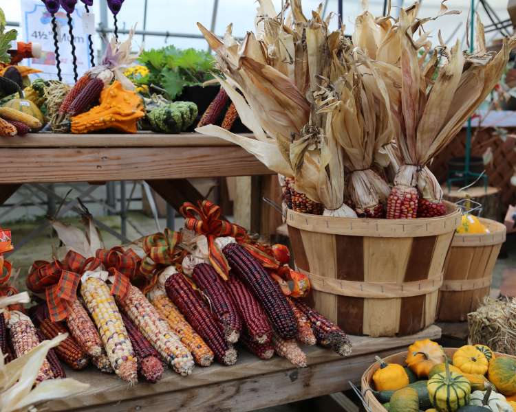 Events in Rhode Island | Festivals and Concerts