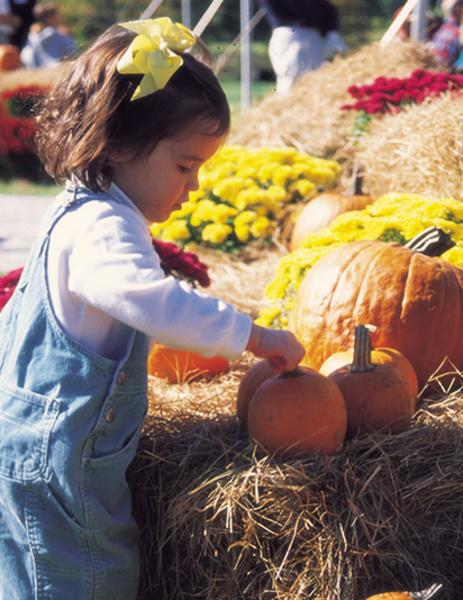 Myrtle Beach Fall Vacation Guide | Visit Myrtle Beach, SC