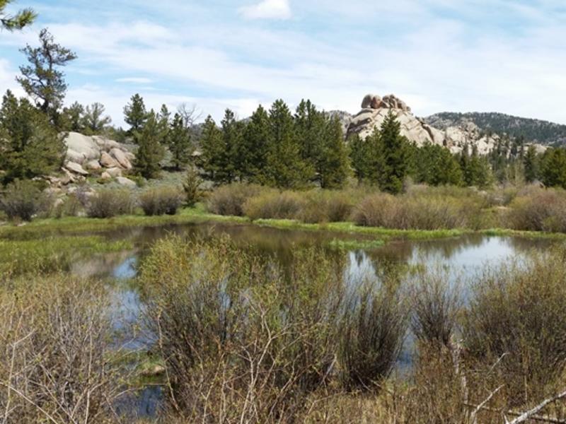 Turtle Rock Trail | Visit Cheyenne