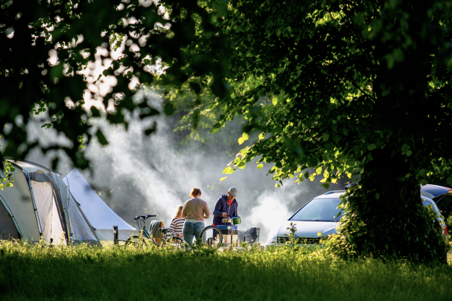 Top Summer Festivals and Events in the New Forest
