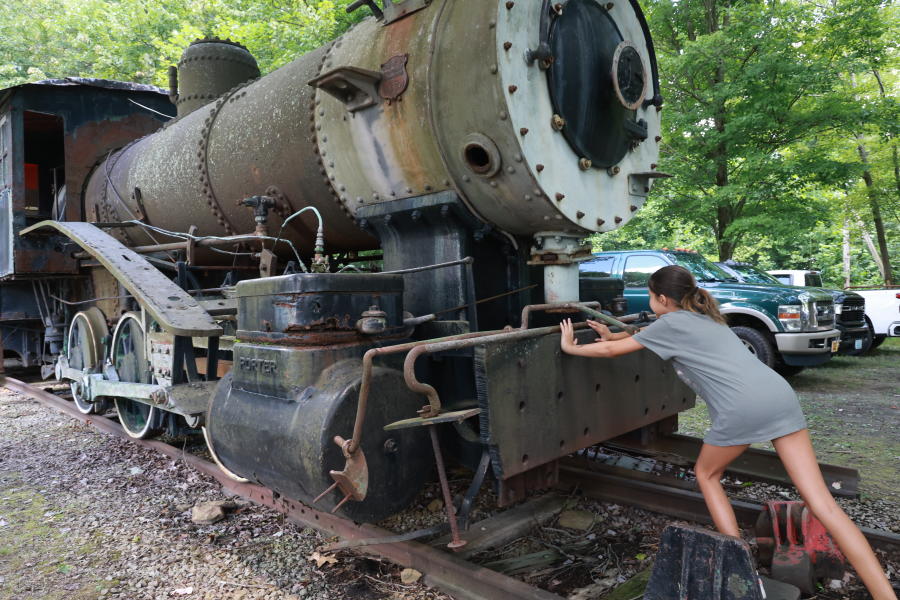 Experience: The National Pike Steam, Gas and Horse Association Show