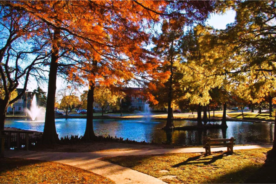 Celebrate the Season: Fall in Stillwater