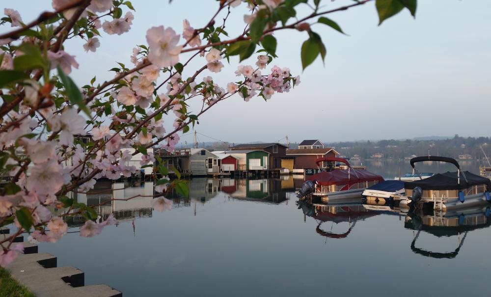 Visit Finger Lakes | Wineries, Hotels, Events & Restaurants