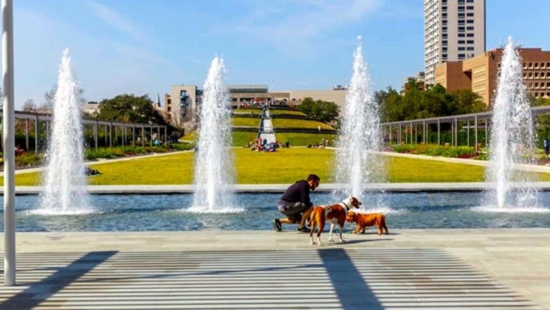 Your Guide to October in Houston