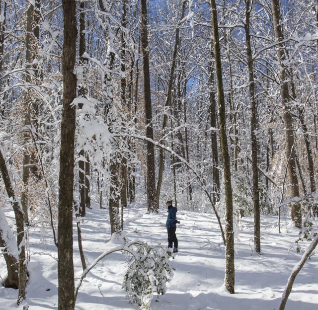 Howell Woods Environmental Learning Center