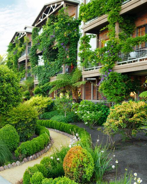 Napa Valley Hotspots: Where to Stay, Sip & Explore
