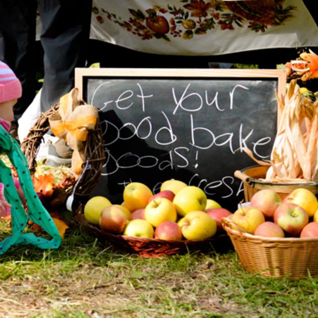 Fall Activities in Cumberland Valley | Seasonal Attractions