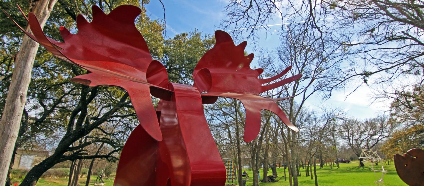 creative gardens templepatrick