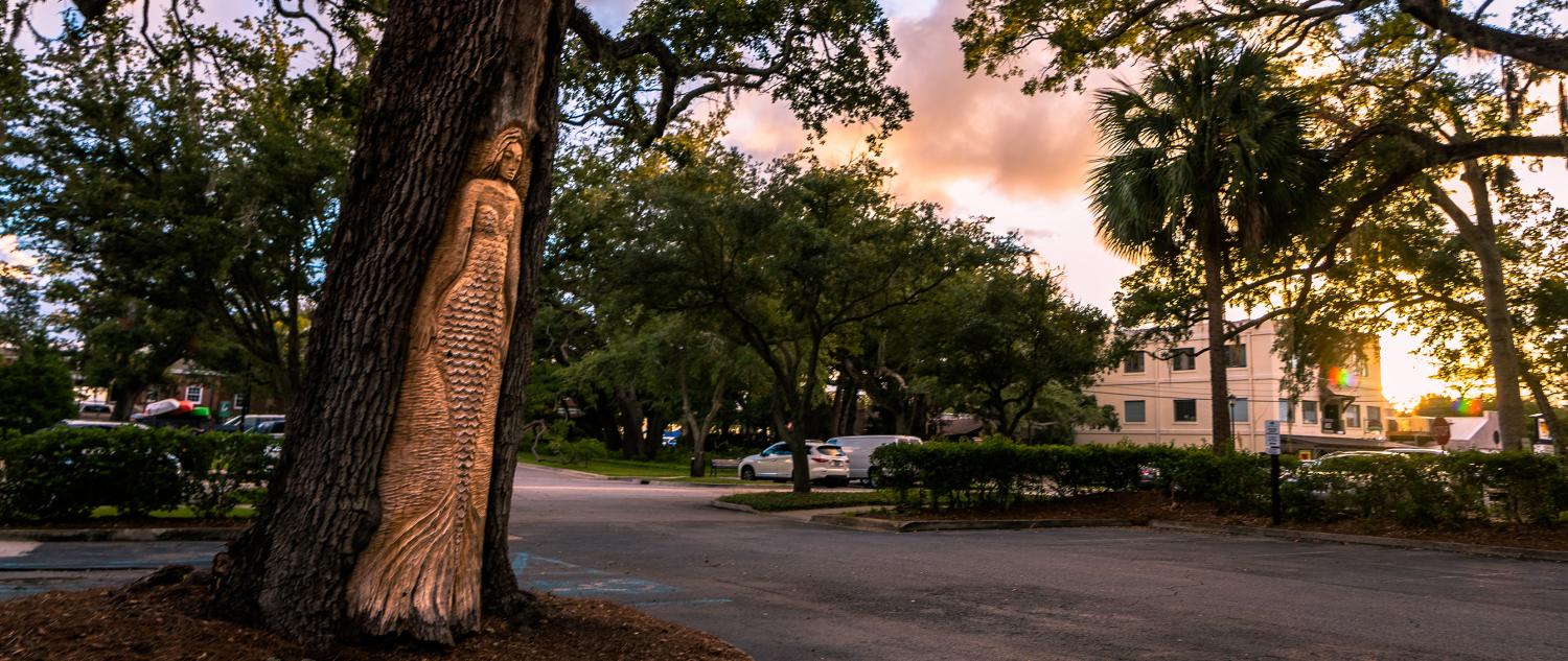 faces in trees st simons