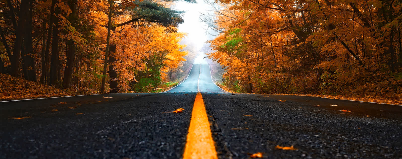 Scenic Fall Drives in Northern Virginia | Visit Fairfax