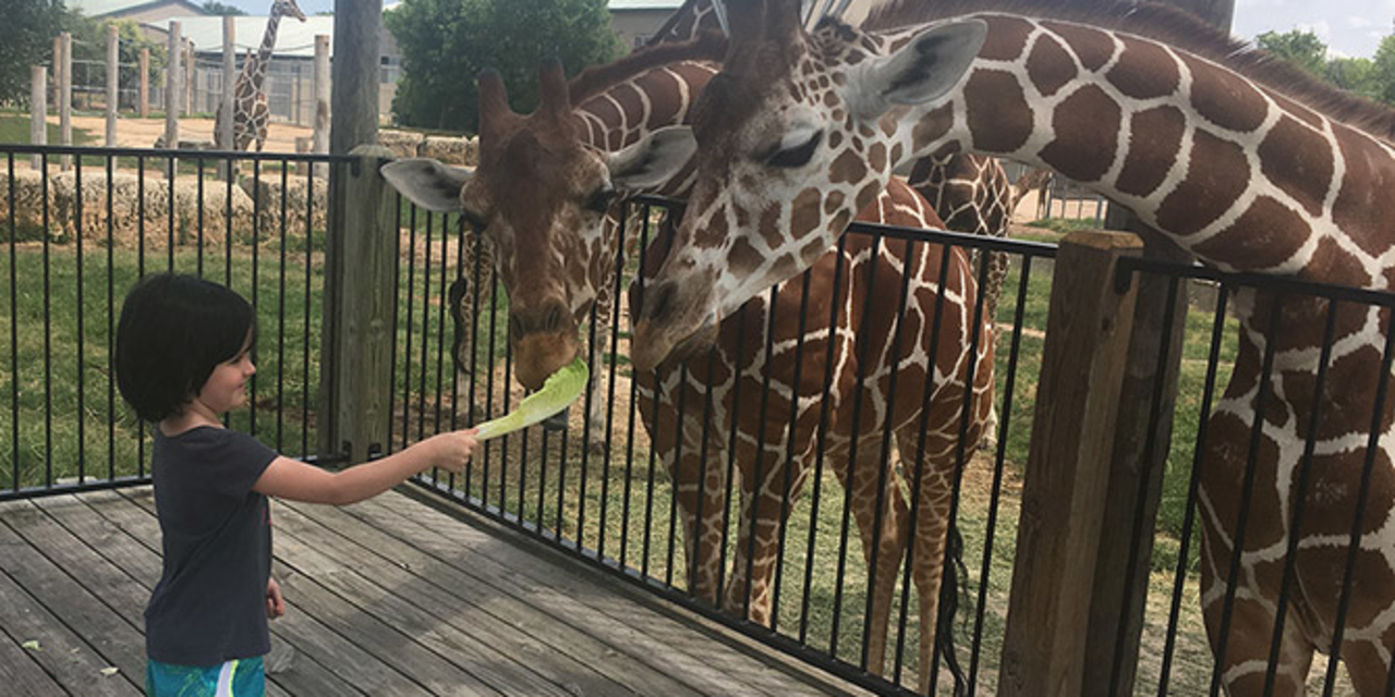 Sedgwick County Zoo & Tanganyika Wildlife Park offer amazing animal ...