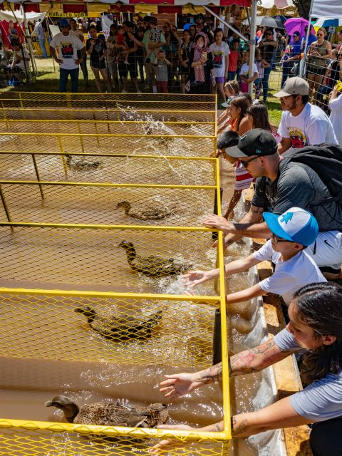 Tourism Event Growth & Sustainability Program