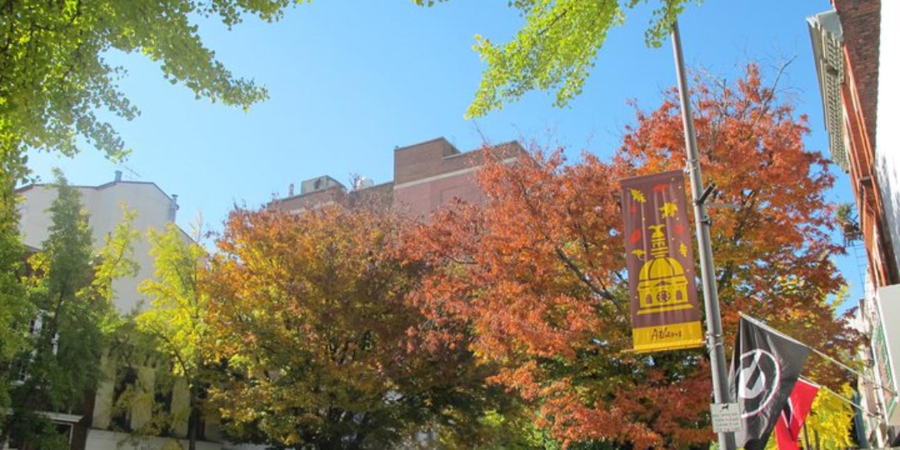 Things To Do In Athens, GA | Attractions, Shopping & Tours