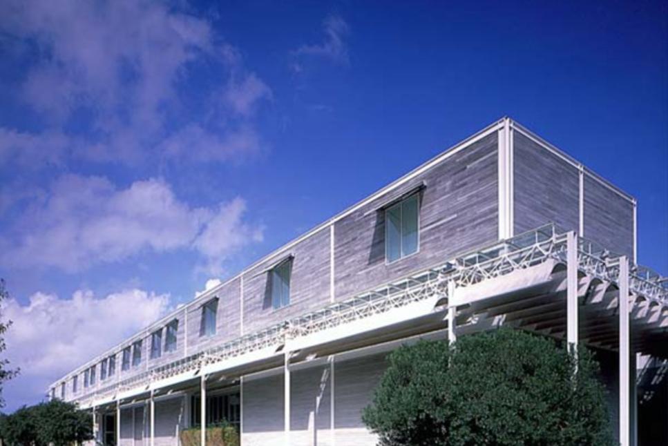 The Menil Collection