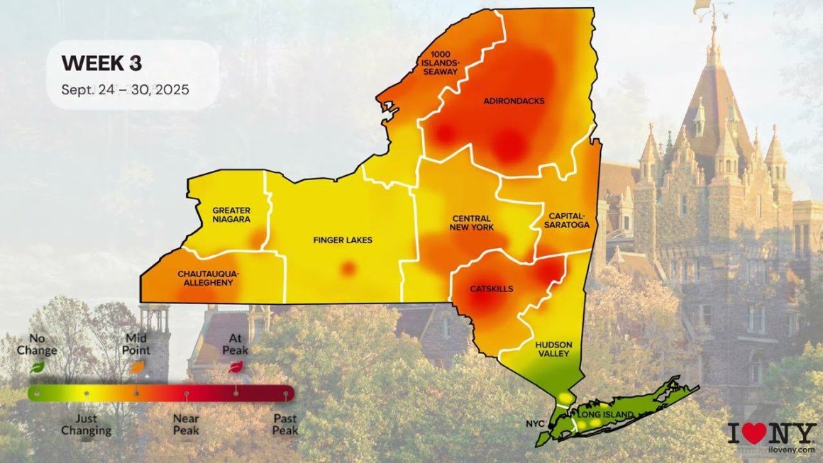 fall leaves timeline