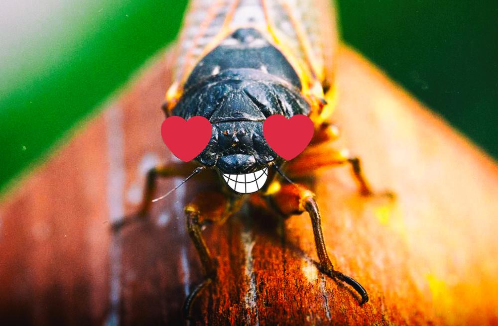 Fun Things to Do in June - June Events in Fairfax | FXVA