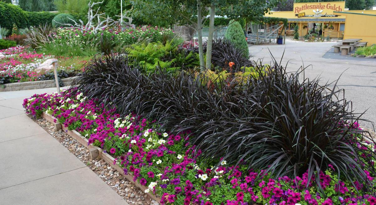 Secret’s Out, Reptile Gardens Is Home To A Whole Lot More Than Snakes