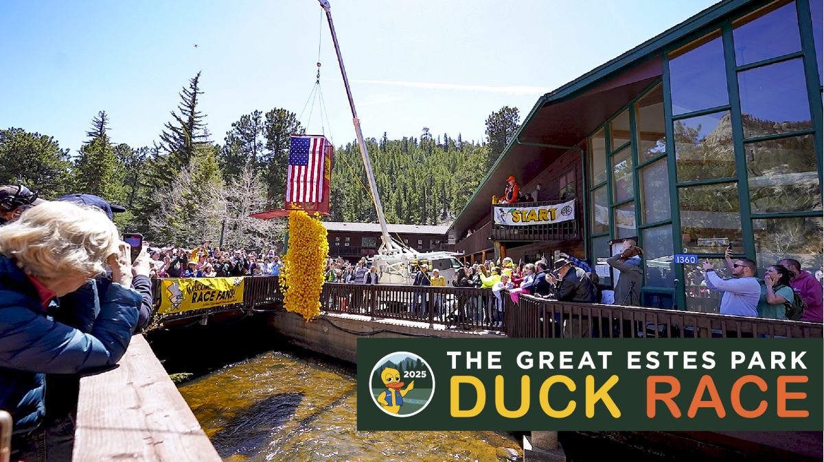 The Great Estes Park Duck Race 2025 Charity Event